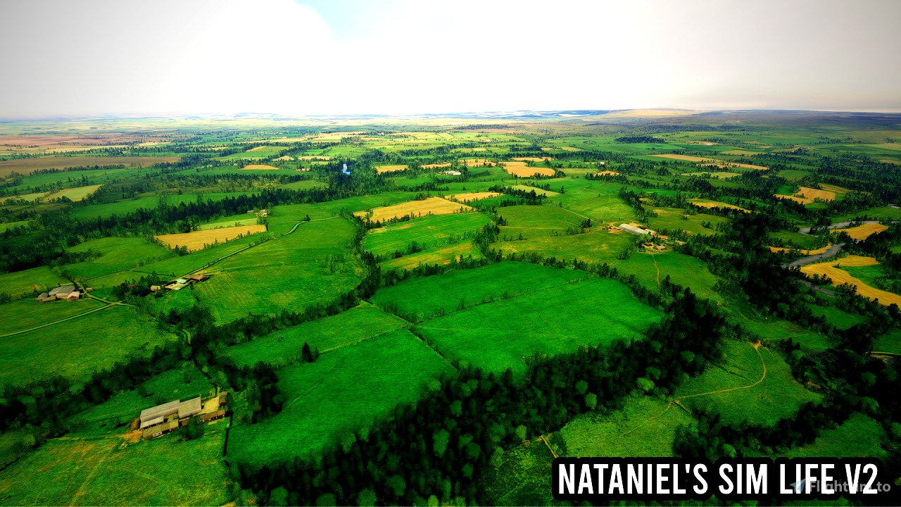 Nataniel's SIM Life V2 | Reshade Preset for Microsoft Flight Simulator | MSFS