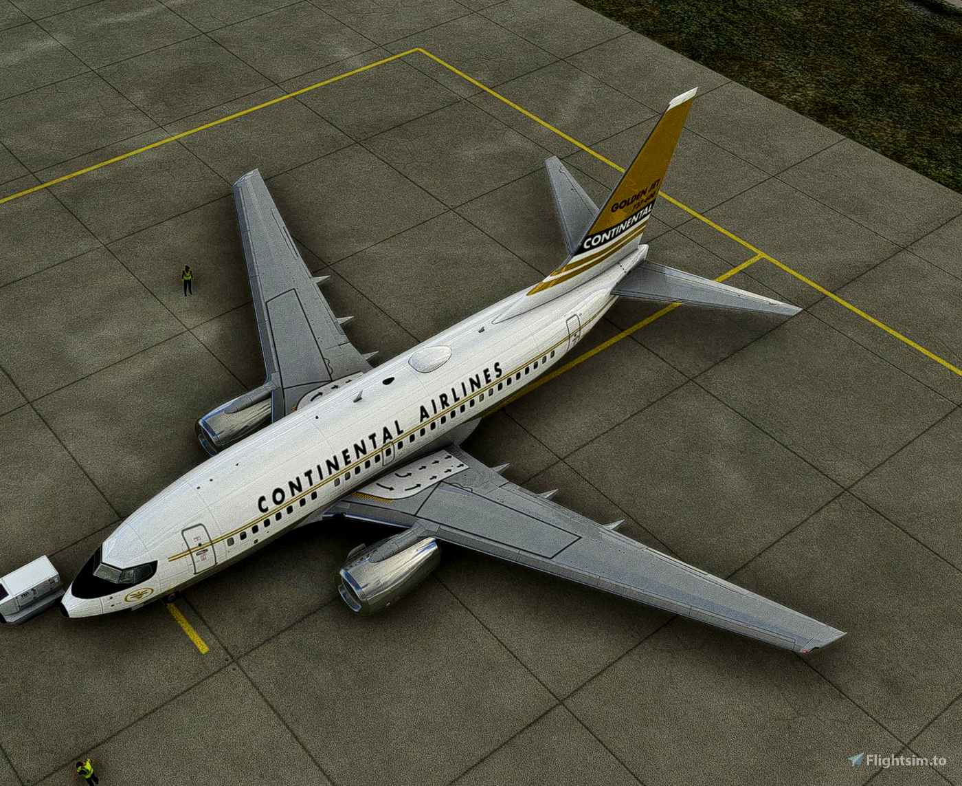 PMDG 737-600 Continental Golden Jet Livery - N19634 для Microsoft ...