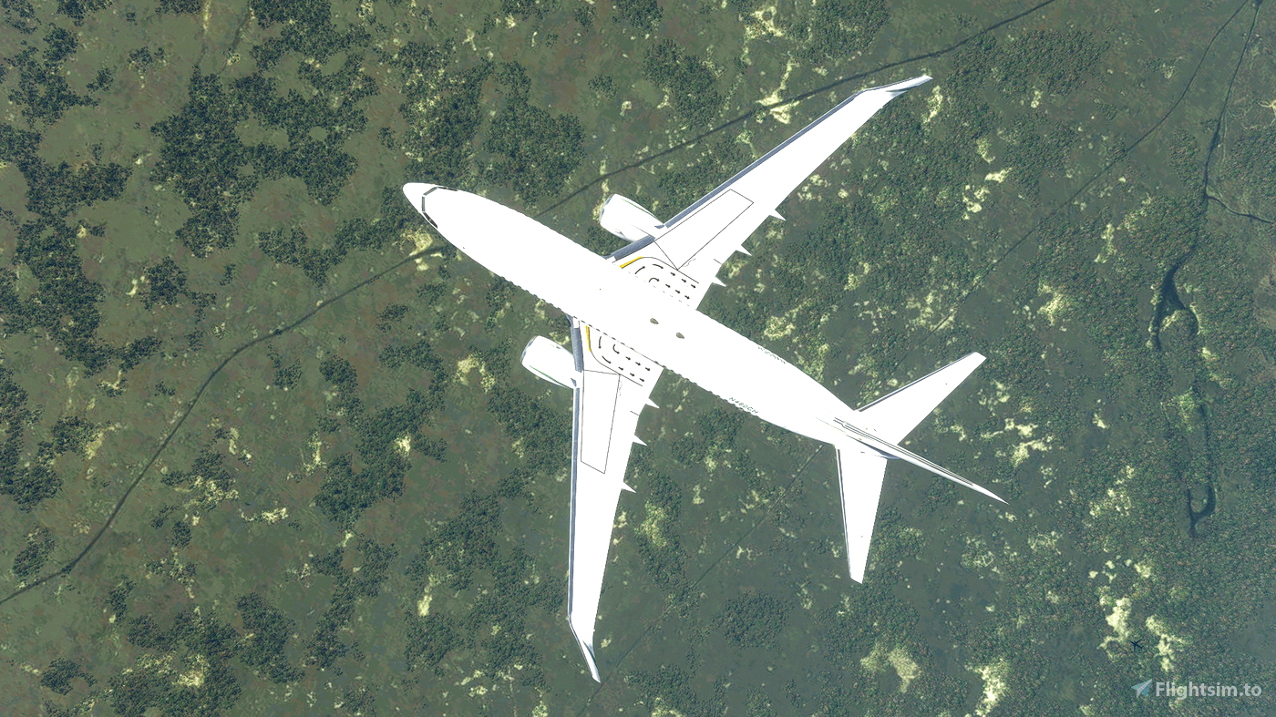 PMDG 737-700 BBJ Crescent Heights (N480CH) for Microsoft Flight ...