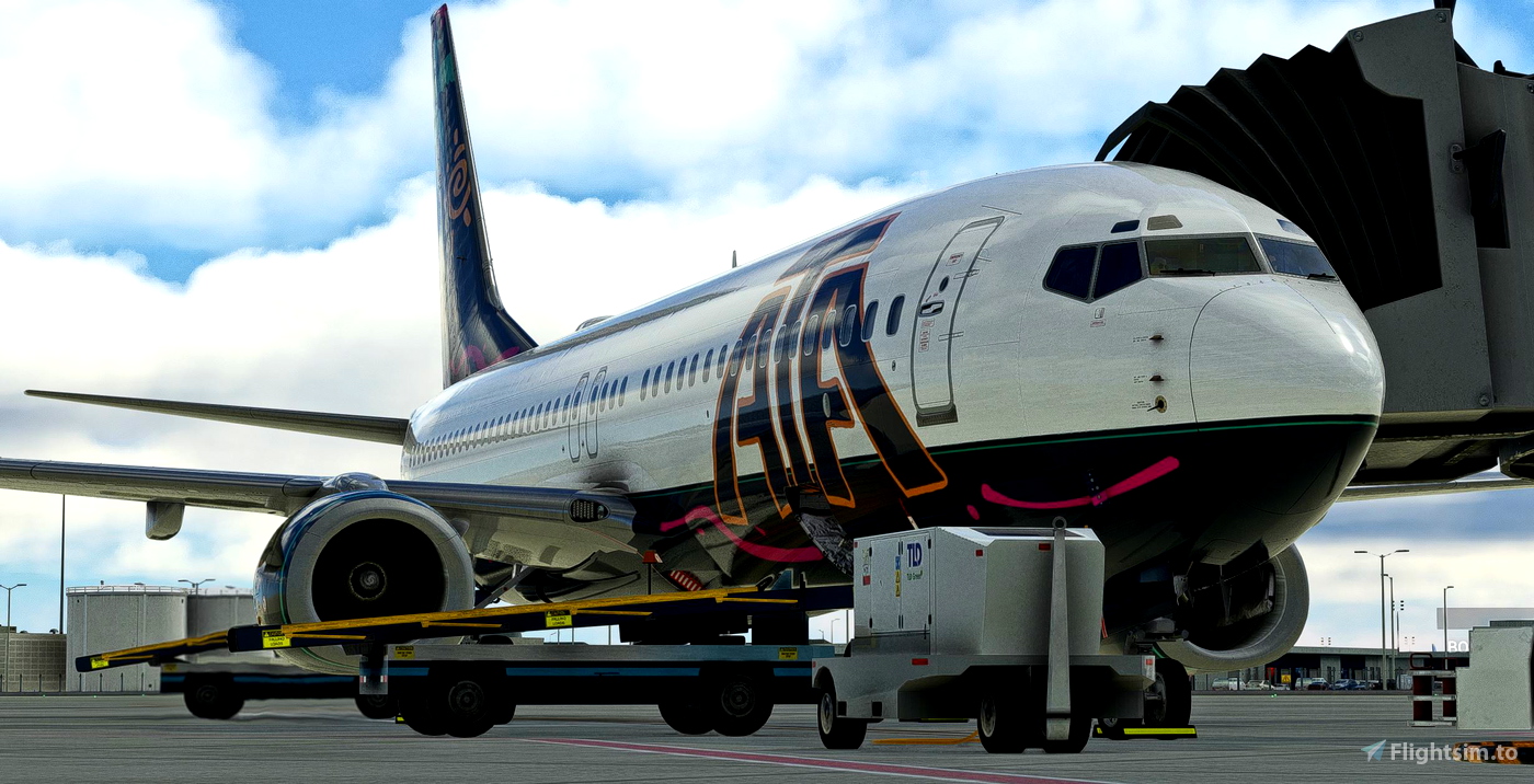 PMDG 737-800 ATA Airlines (Palm Tree Livery) N320TZ for Microsoft ...
