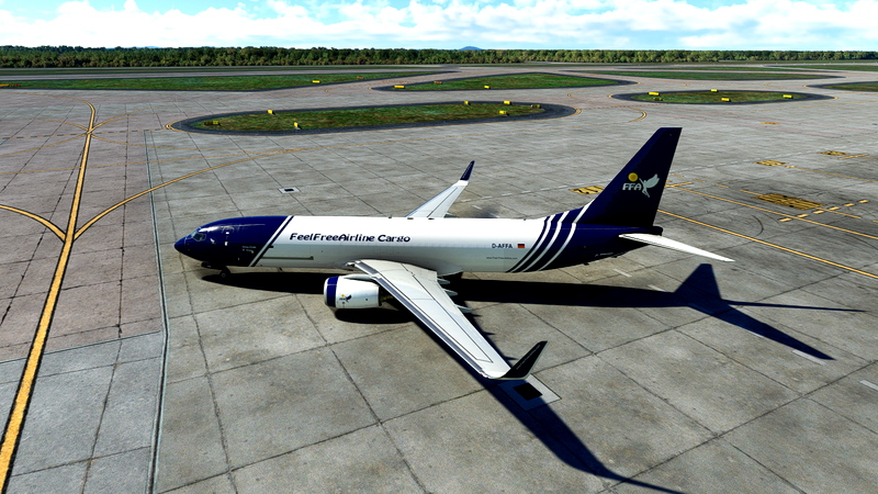 PMDG Boeing 737-800 BCF with Winglets for Microsoft Flight Simulator | MSFS