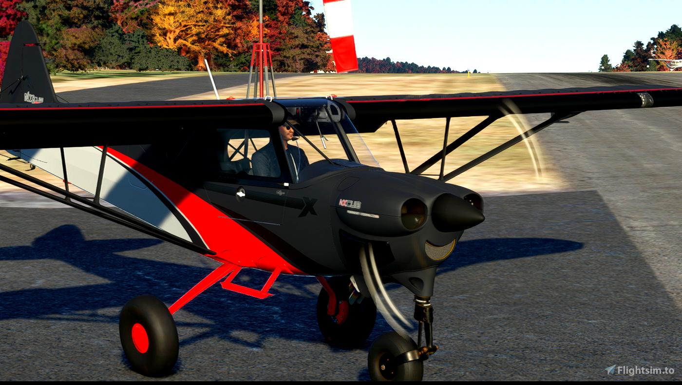 Prop Mod for Got-Friends Monster NXCub for Microsoft Flight Simulator ...