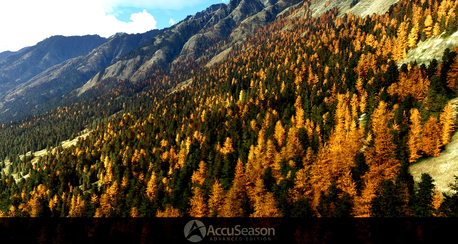 REX Simulations - REX AccuSeason Advanced Edition for Microsoft Flight ...