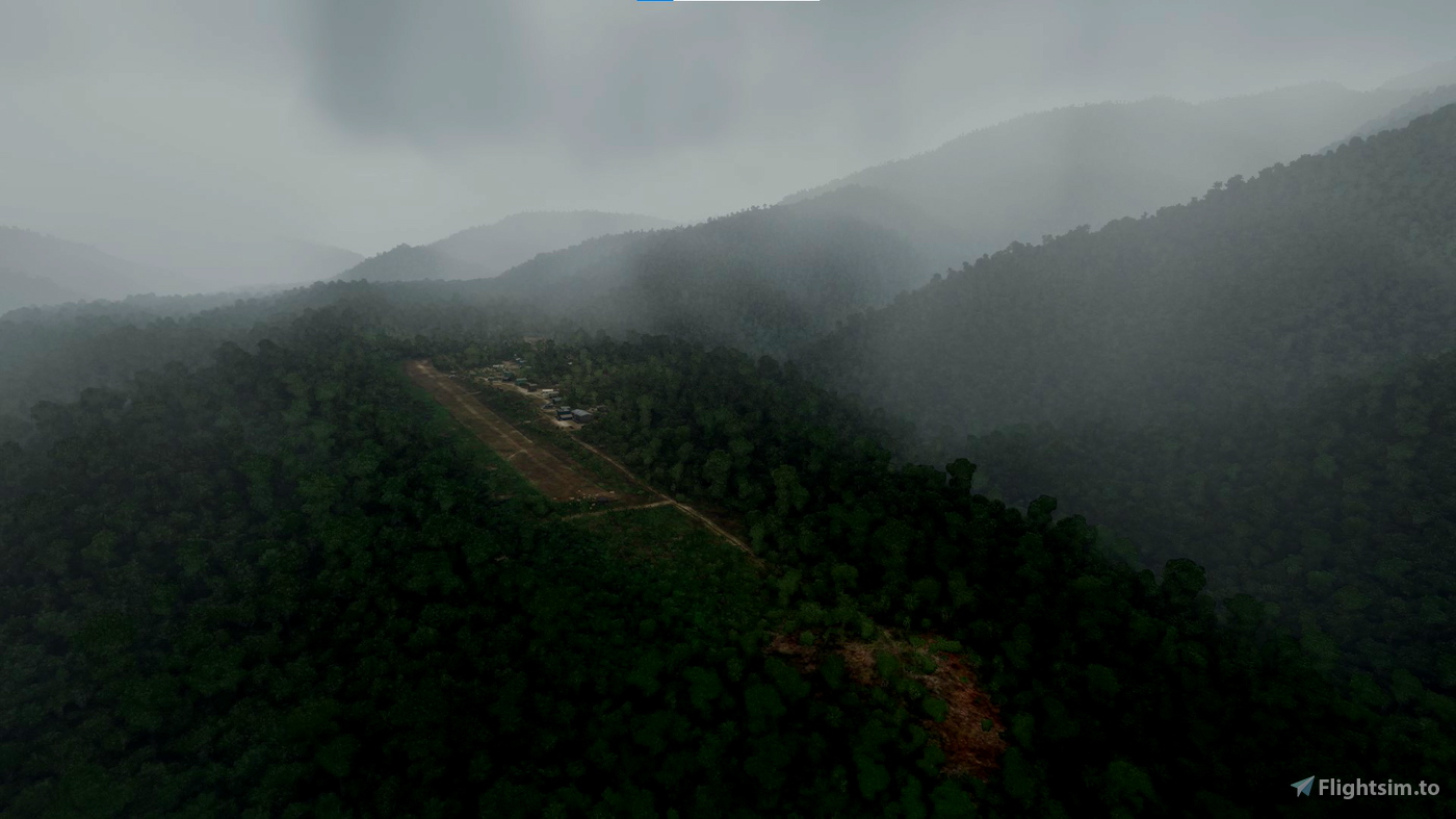 WANR - improvements (Paro) for Microsoft Flight Simulator | MSFS