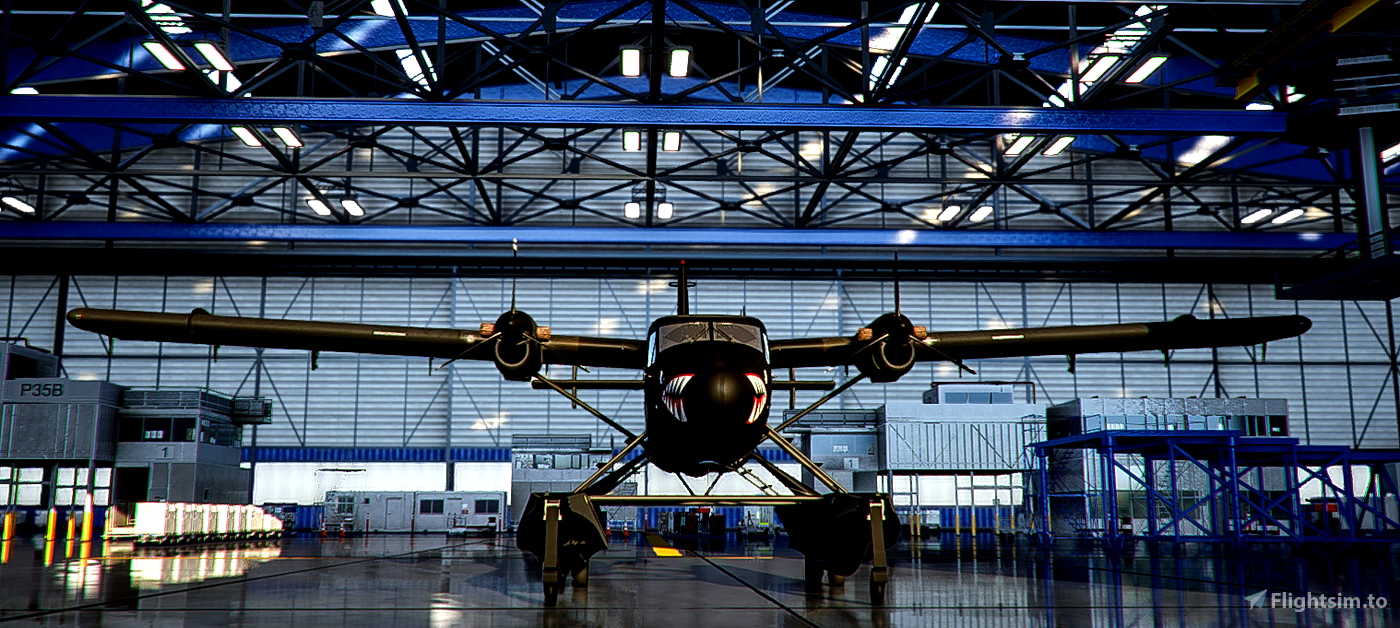 Wash Air Bush Flights D-WASH [DHC6-300 Amphibian Pax] for Microsoft ...