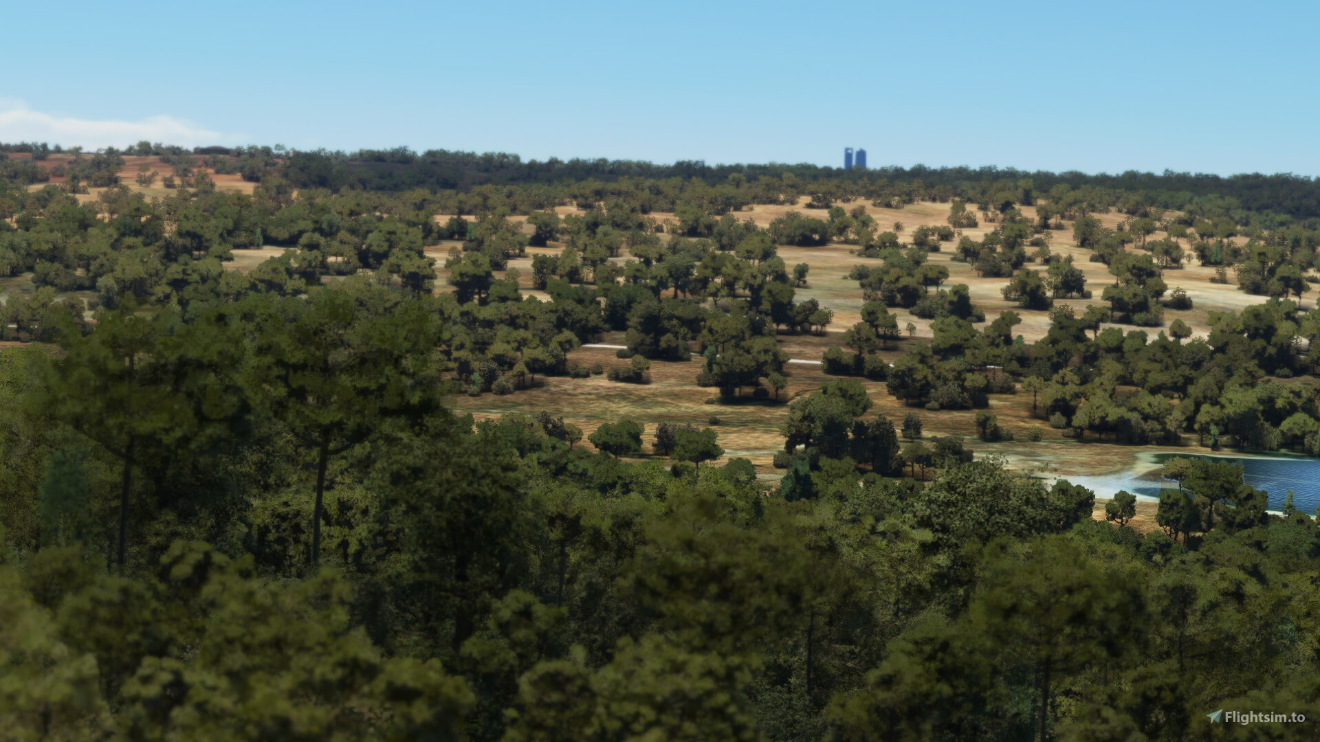 New Zealand Tree Height Fix (No more 30m tall trees in small towns ...
