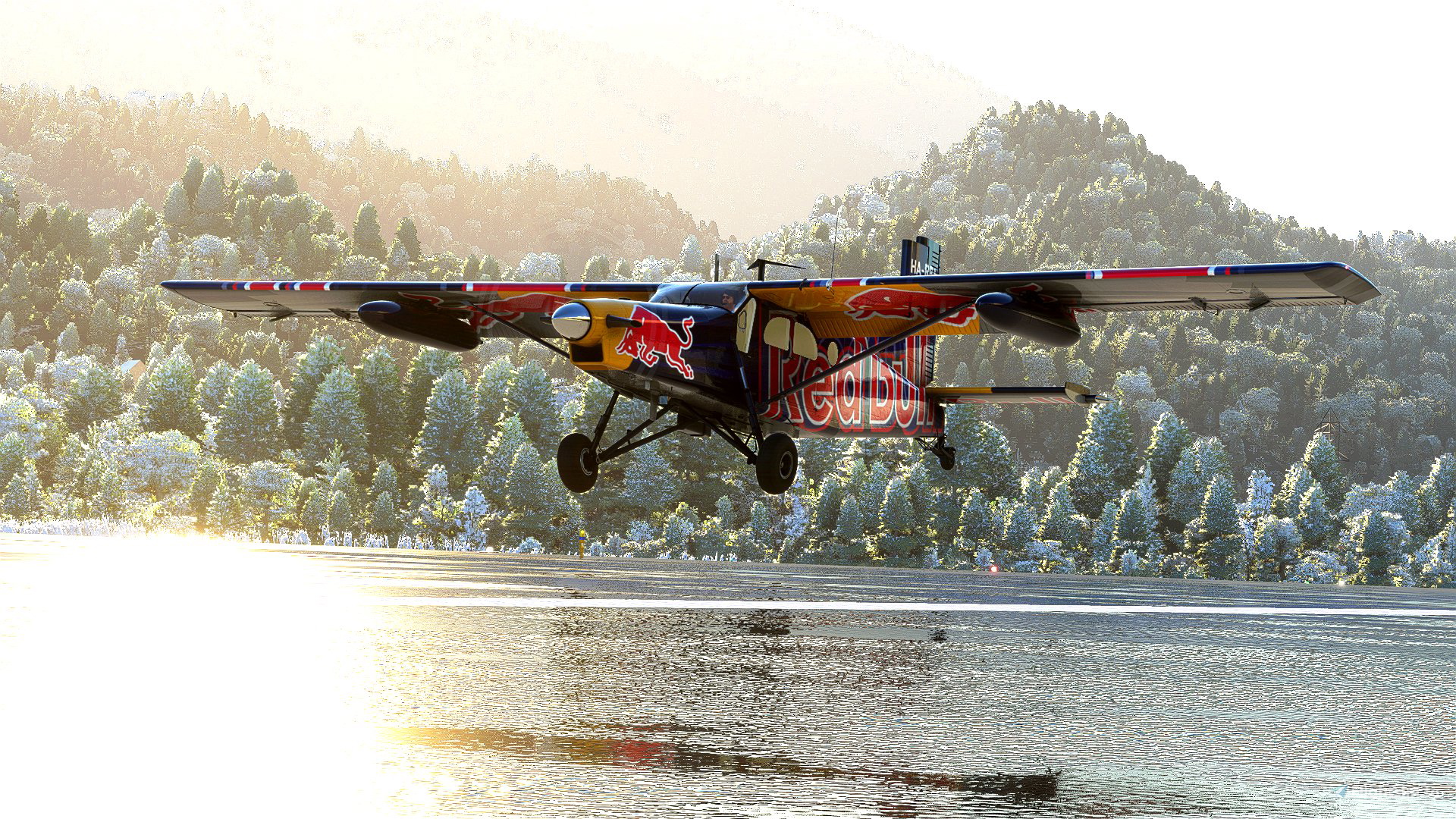 MilViz Pilatus PC-6 Turbo Porter - RedBull fictional livery for ...