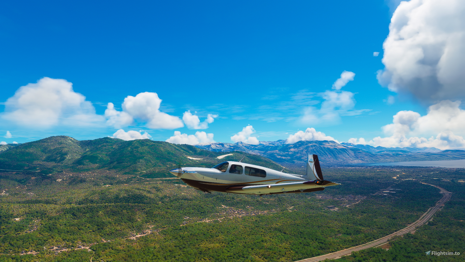 White Gold and Maroon Livery for Carenado Mooney for Microsoft Flight ...