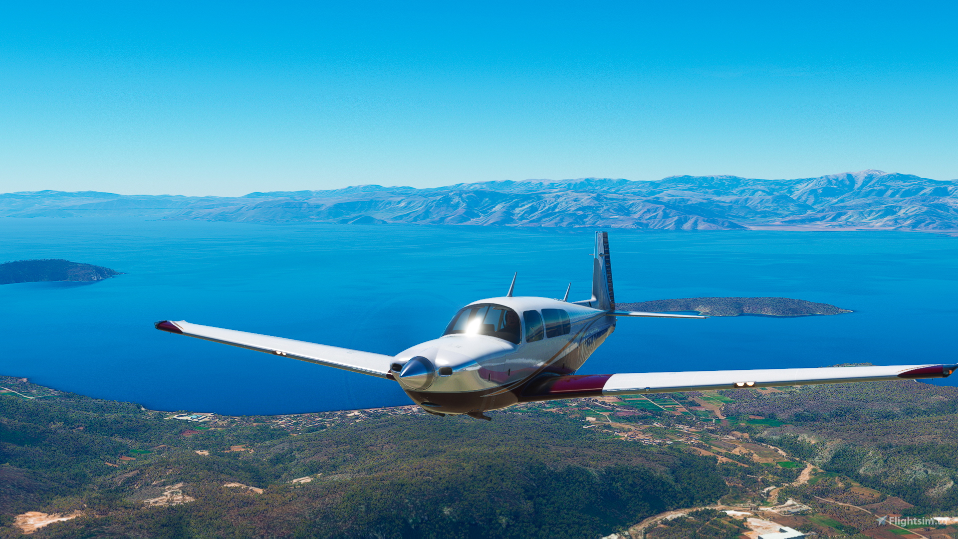 White Gold and Maroon Livery for Carenado Mooney for Microsoft Flight ...