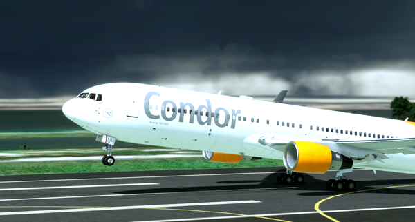 Condor (4D) - CS 767-300 for Microsoft Flight Simulator | MSFS
