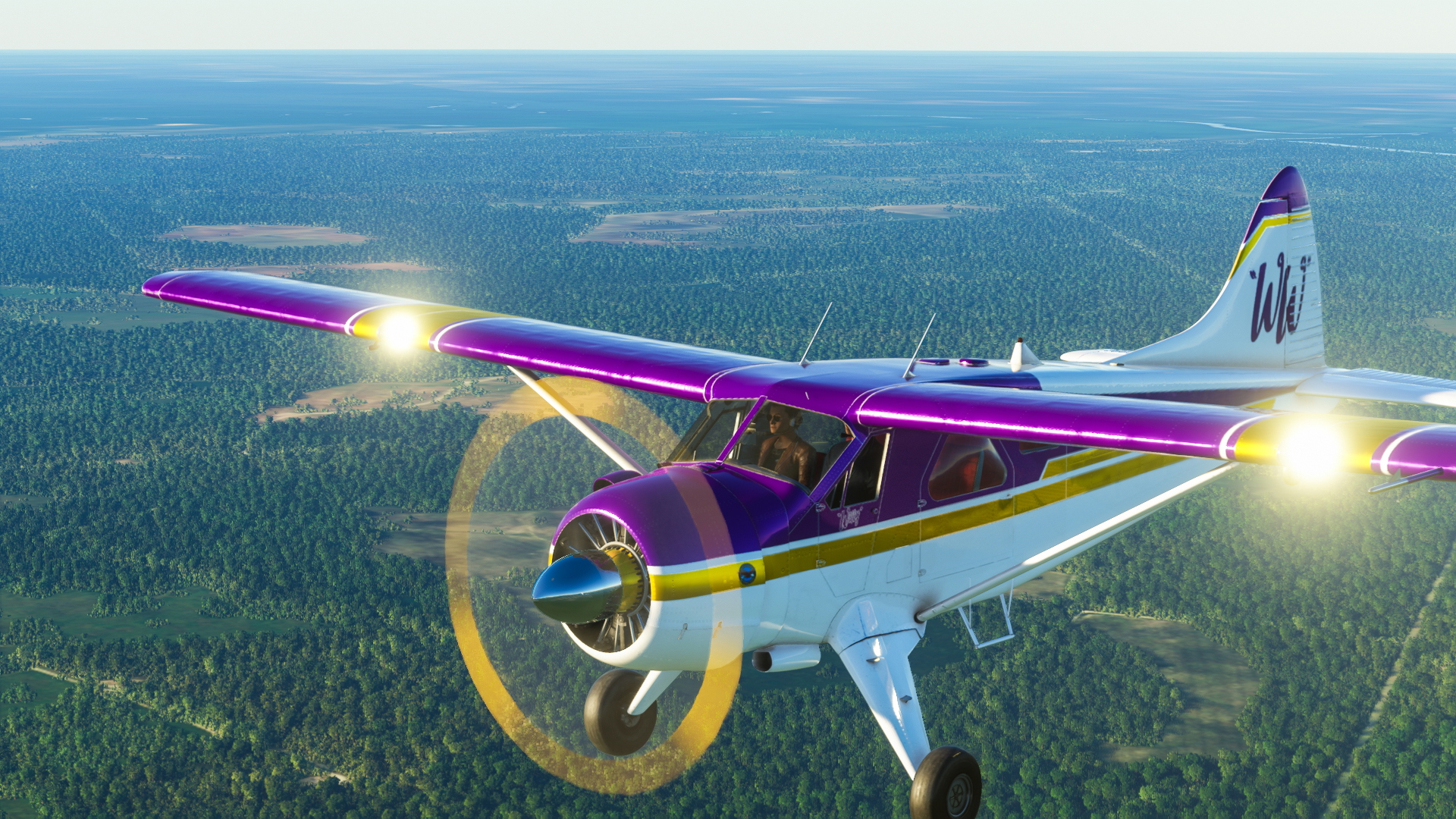 DHC-2 Beaver Willy's Wing | STOL Addicts for Microsoft Flight Simulator ...