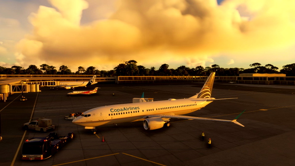 Flightsim.to - Activities