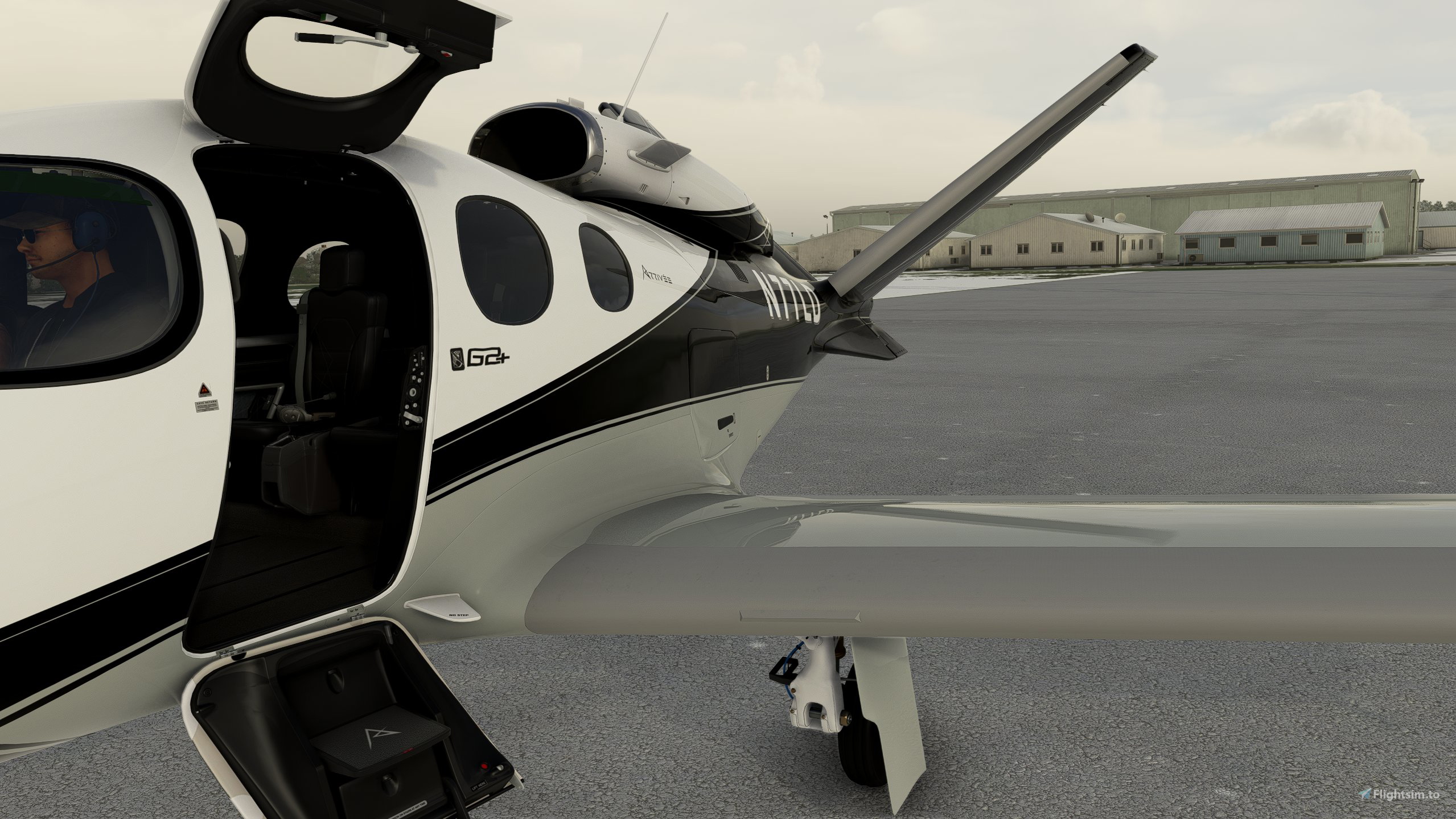 SF50 Vision Jet G2 N77LD & Custom reg. for Microsoft Flight Simulator ...