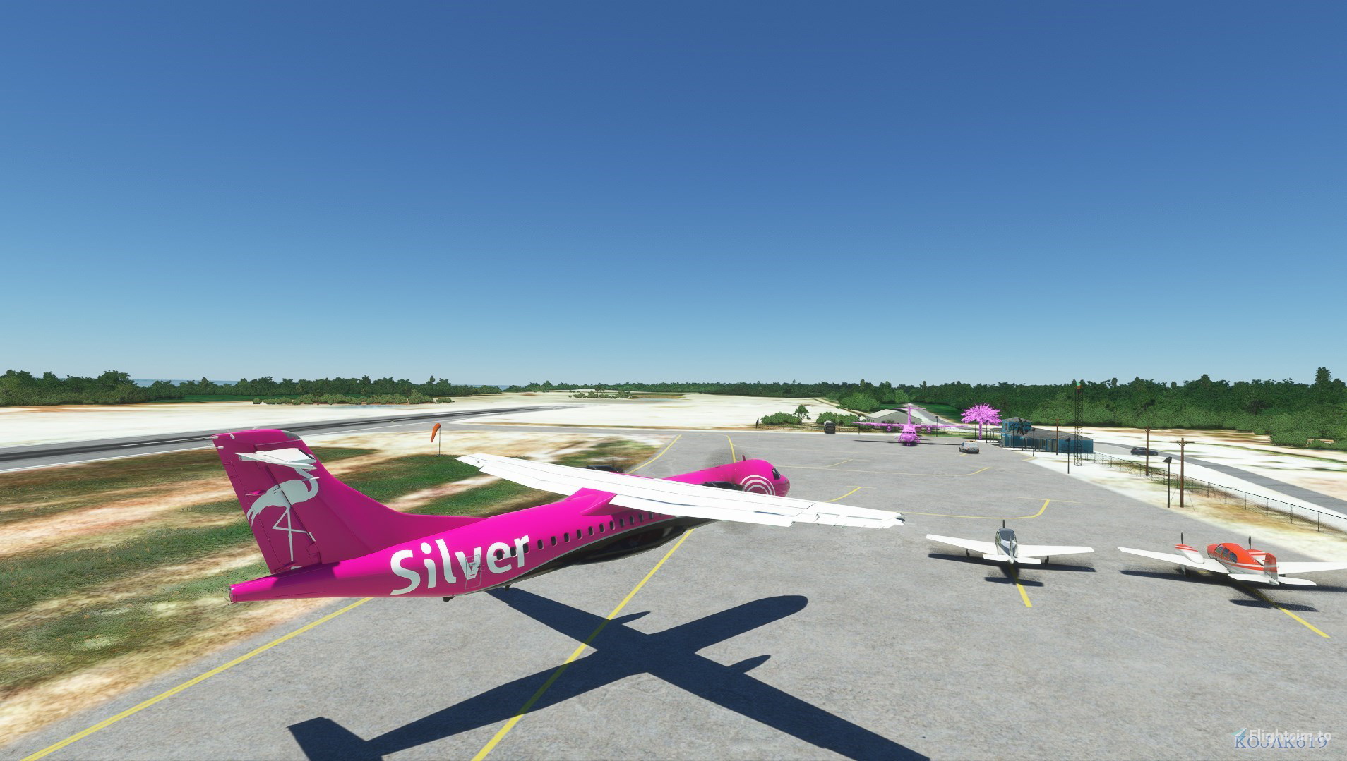 Silver Airways (N409SV) - Asobo ATR 42-600 for Microsoft Flight ...